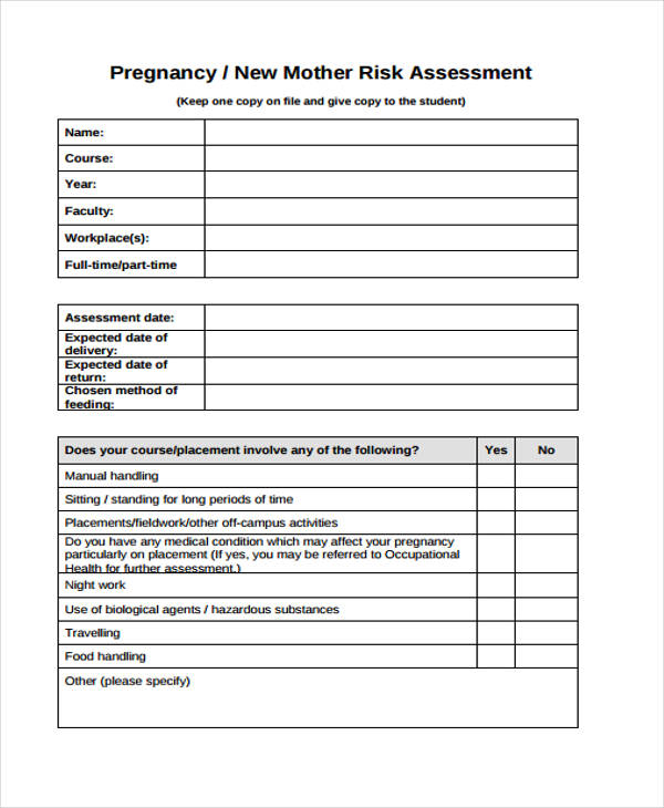 41+ Risk Assessment Templates in PDF