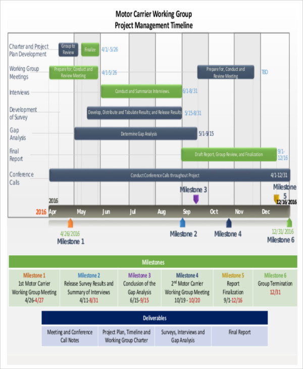 24 Project Timeline Templates In PDF