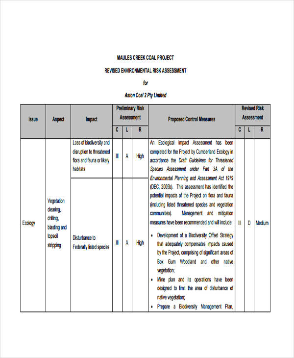 41+ Risk Assessment Templates in PDF
