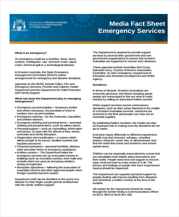 32 Fact Sheet Templates in PDF