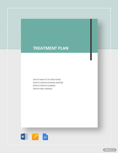 35+ Treatment Plan Templates