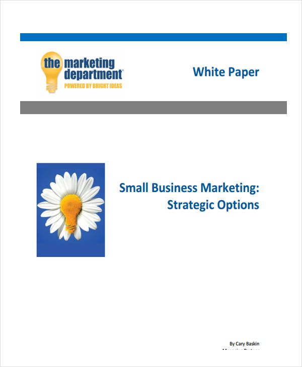 33+ White Paper Templates in PDF