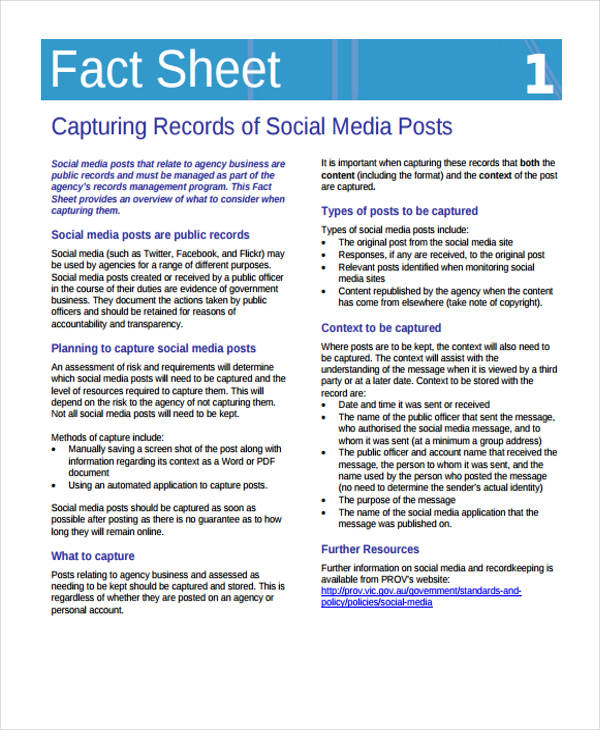 32 Fact Sheet Templates in PDF