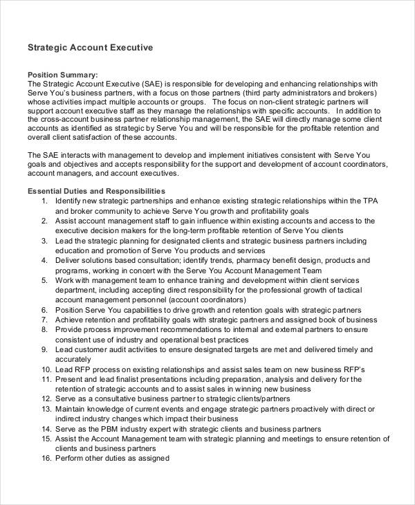 10+ Strategic Account Plan Templates -Free Sample ,Example Format Download