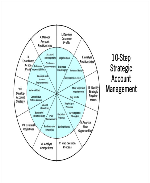 10+ Strategic Account Plan Templates -Free Sample ,Example Format Download