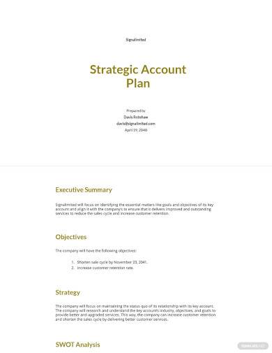 10+ Strategic Account Plan Templates -Free Sample ,Example Format Download
