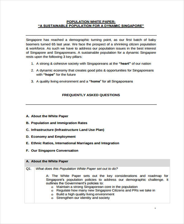 33+ White Paper Templates in PDF