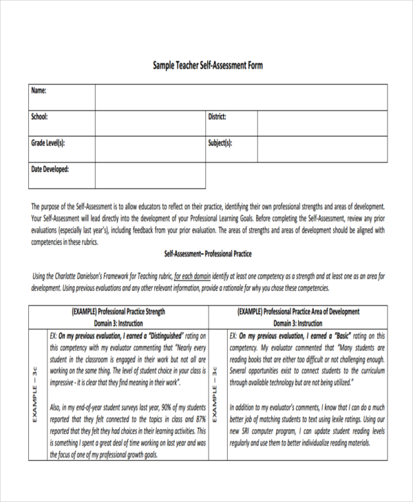 47+ Assessment Form Examples