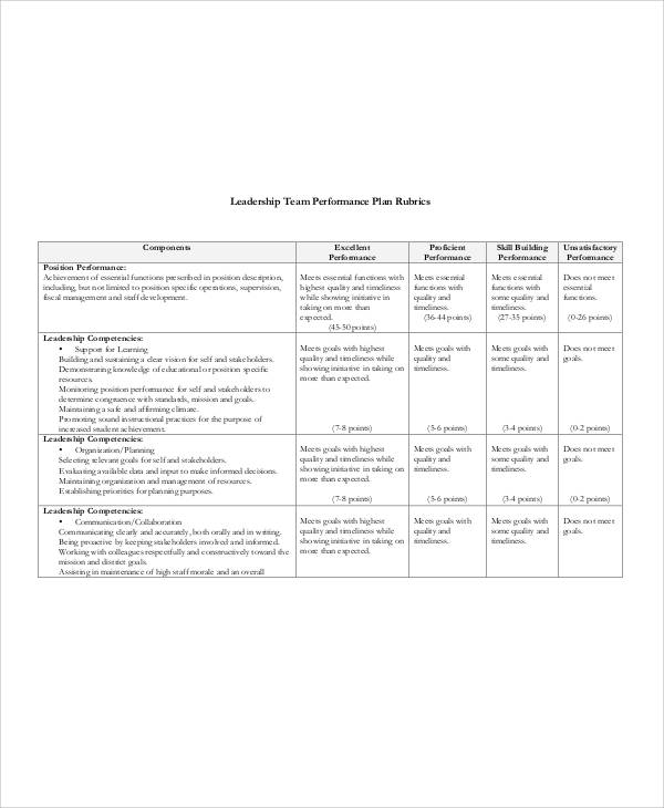 Performance Plan Sample Classles Democracy