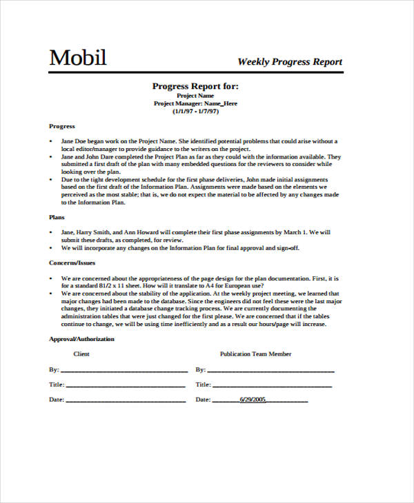 Check My Essay Project Paper Sample Pdf