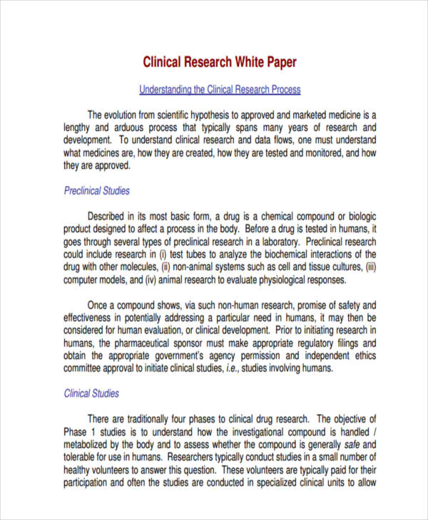 38 Sample White Paper Templates