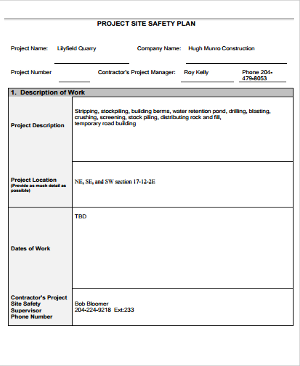 35 Safety Plan Formats Word Docs PDF