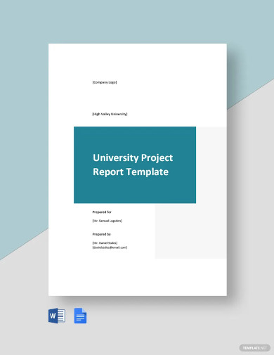 52+ Project Report Formats - Word, PDF, Docs