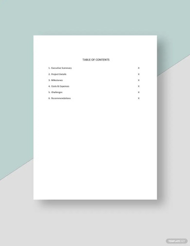 52+ Project Report Formats - Word, PDF, Docs