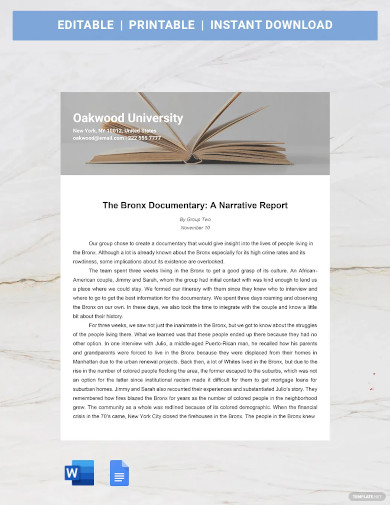 52+ Project Report Formats - Word, PDF, Docs