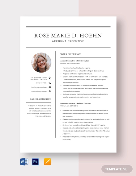 14+ Sample Executive Resume Templates - PDF, DOC