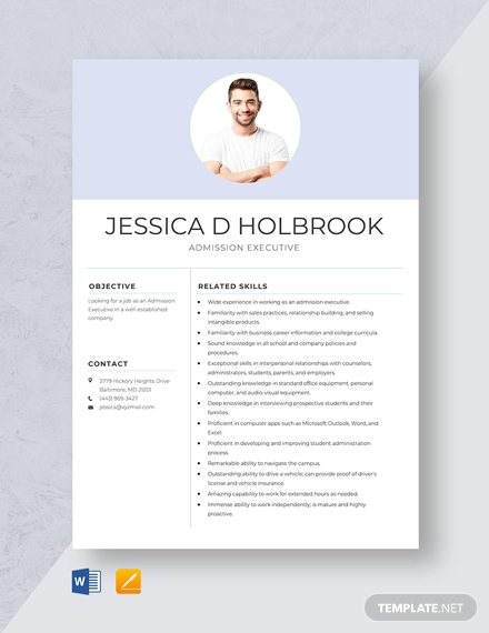 Executive Resume Template -14+ Free Word, Excel, PDF Format Download!