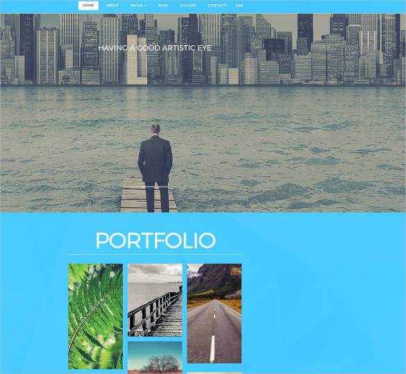 36+ Portfolio Website Themes & Templates