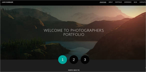 36+ Portfolio Website Themes & Templates