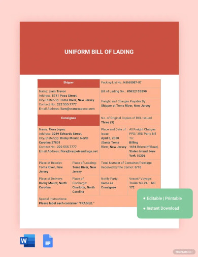35 + Bill of Lading Templates in MS Word, Google Docs