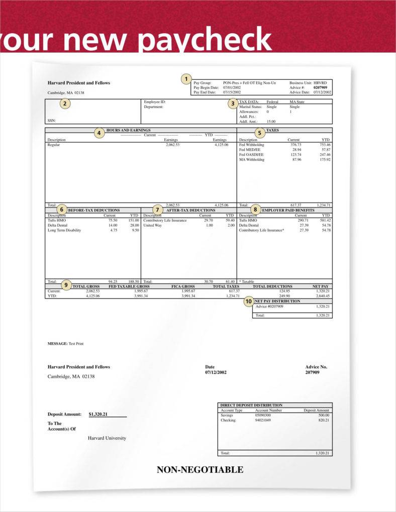 Blank Pay Stubs Template