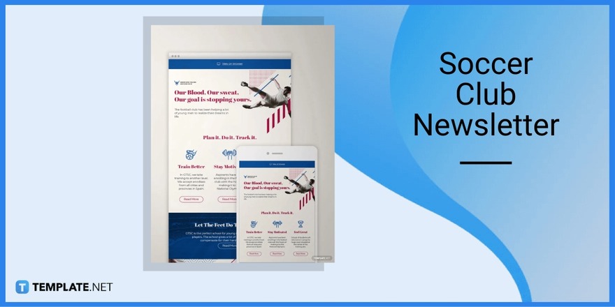 How To Make/Create an Outlook Newsletter Template [Templates + Examples ...