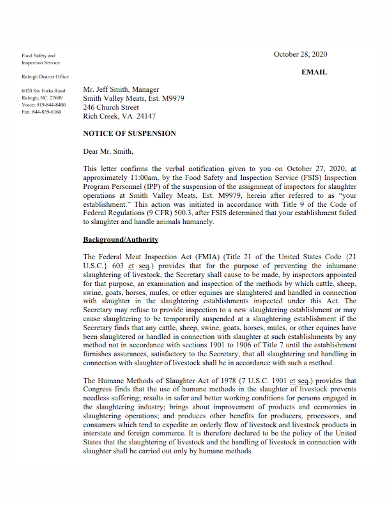 How to Make/Create a Letter of Suspension [Templates + Examples] 2025