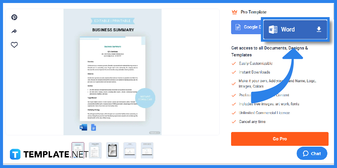 How to Make/Create an Investment Summary [Templates + Examples] 2023