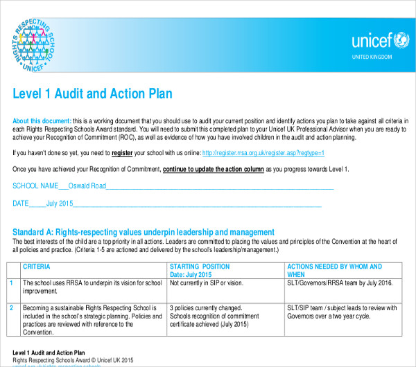 14 Audit Action Plan Templates PDF
