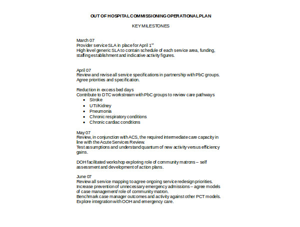 7 Hospital Operational Plan PDF Docs Word
