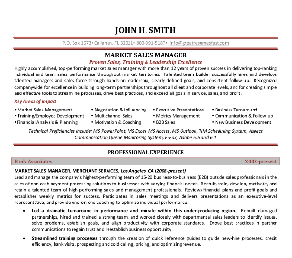 10+ Sales Manager Resume Templates - PDF, DOC