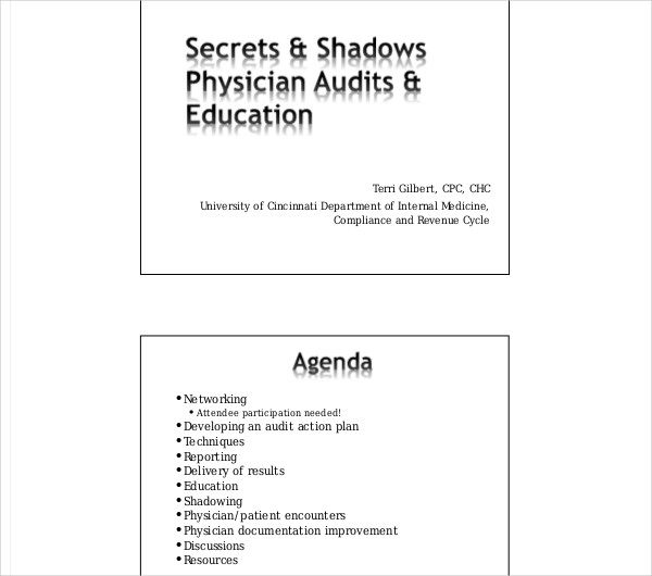 14+ Audit Action Plan Templates - PDF