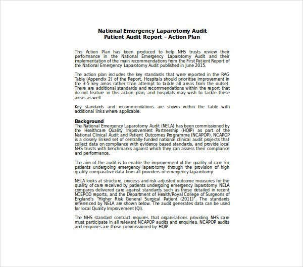 14+ Audit Action Plan Templates - PDF