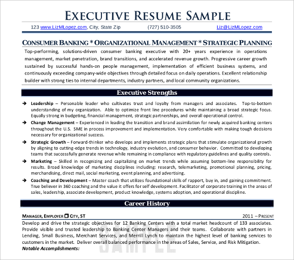 Executive Style Resume Template