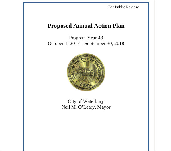 11 Annual Action Plan Templates PDF Docs