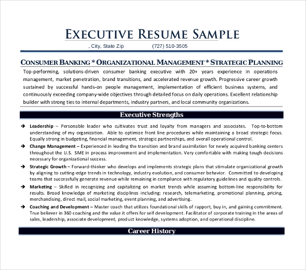 20+ Executive Resume Templates - PDF, DOC
