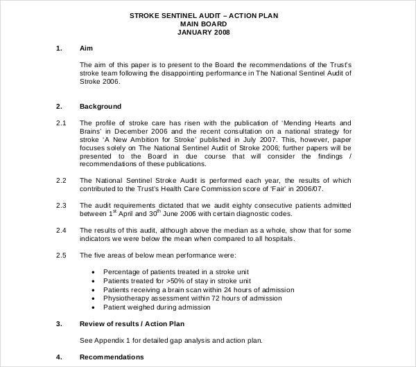 14+ Audit Action Plan Templates - PDF