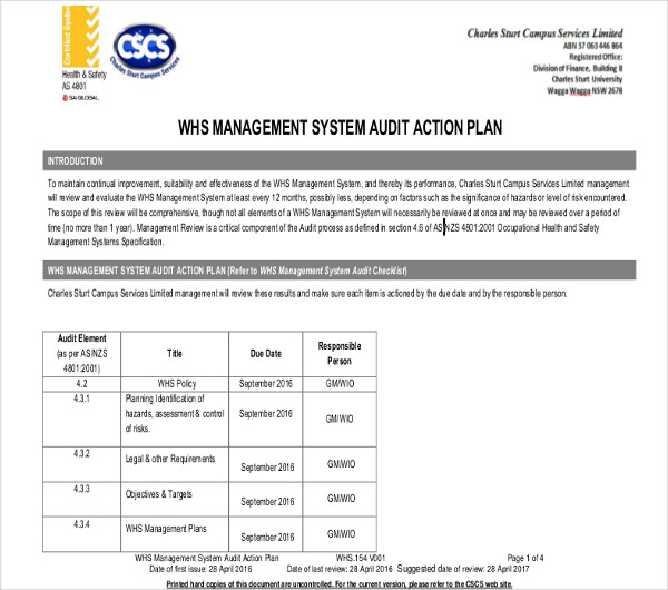 14 Audit Action Plan Templates PDF