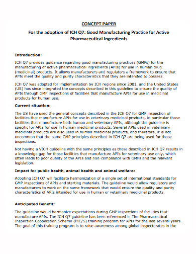 11+ Concept Paper Templates - PDF