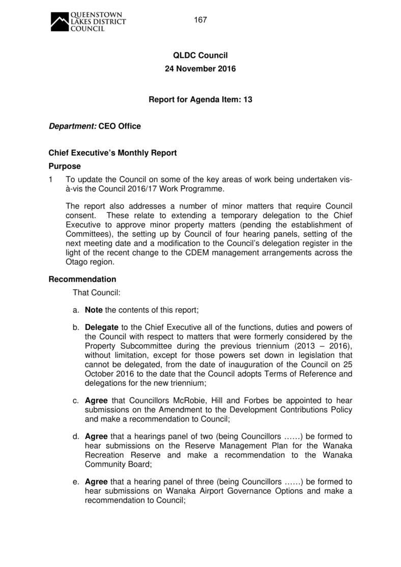 6+ CEO Report Templates - PDF