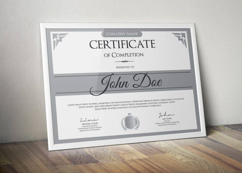 14+ Training Completion Certificate Designs & Templates - PSD, AI