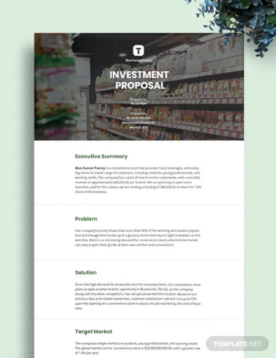 18+ Financial Proposal Templates - Word, PDF, Google Docs, Apple Pages