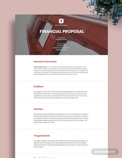 18+ Financial Proposal Templates - Word, PDF, Google Docs, Apple Pages