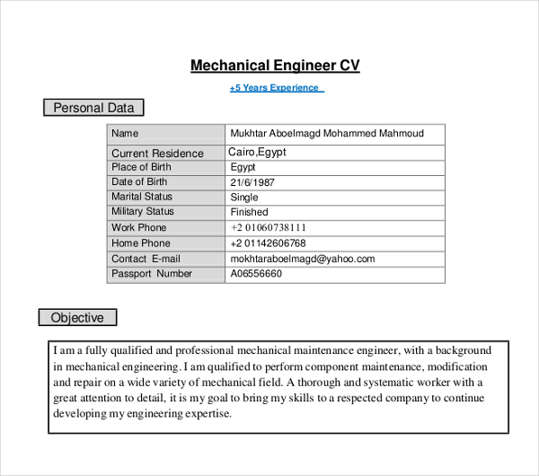 10+ Engineer Curriculum Vitae Templates - PDF, DOC