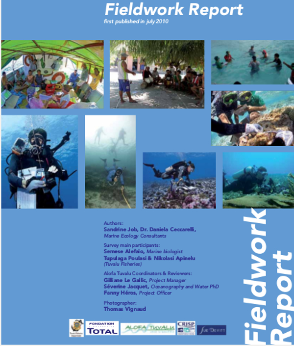 7+ Field Report Templates - PDF ,Word, Apple Pages, Google Docs