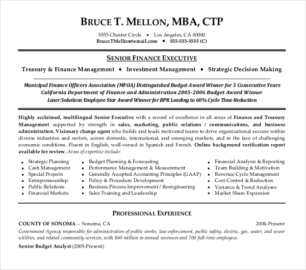 20+ Finance Resume Templates - PDF, DOC