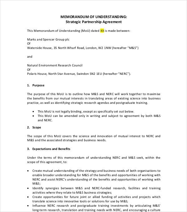 Strategic Partnership Framework Template