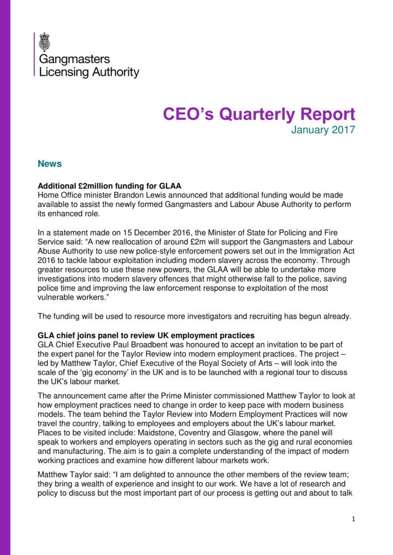 6+ CEO Report Templates - PDF 6+ CEO Report Templates - PDF