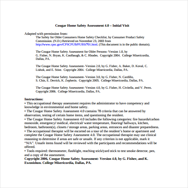 4+ Home Safety Assessment Templates - PDF, DOC