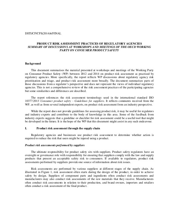 10+ Product Assessment Templates -PDF, DOC